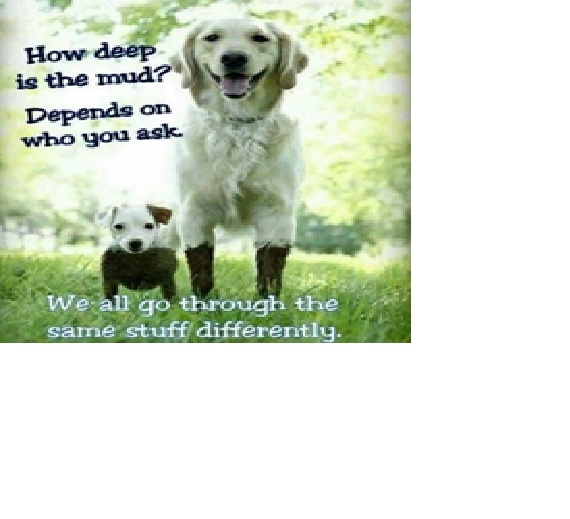 We Go Through Stuff Differently by Patty LaRoche | Fort Scott Biz