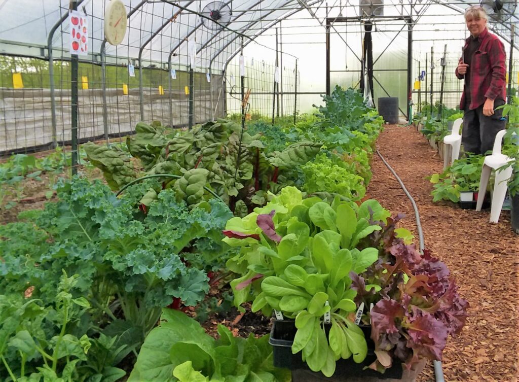 New Venture For the Shead Family: Organic Homestead Festival | Fort ...